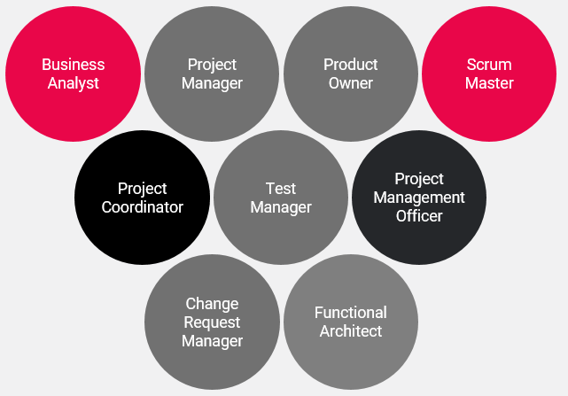 Project management & support - SOLUTEC - EN